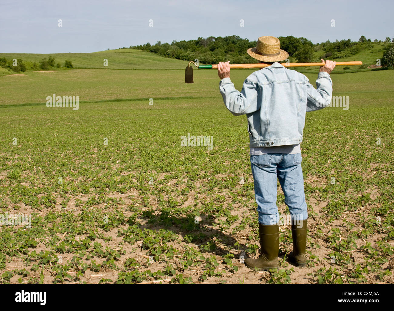 farmer standing in a field with a hoe on his shoulders Stock Photo - Alamy
