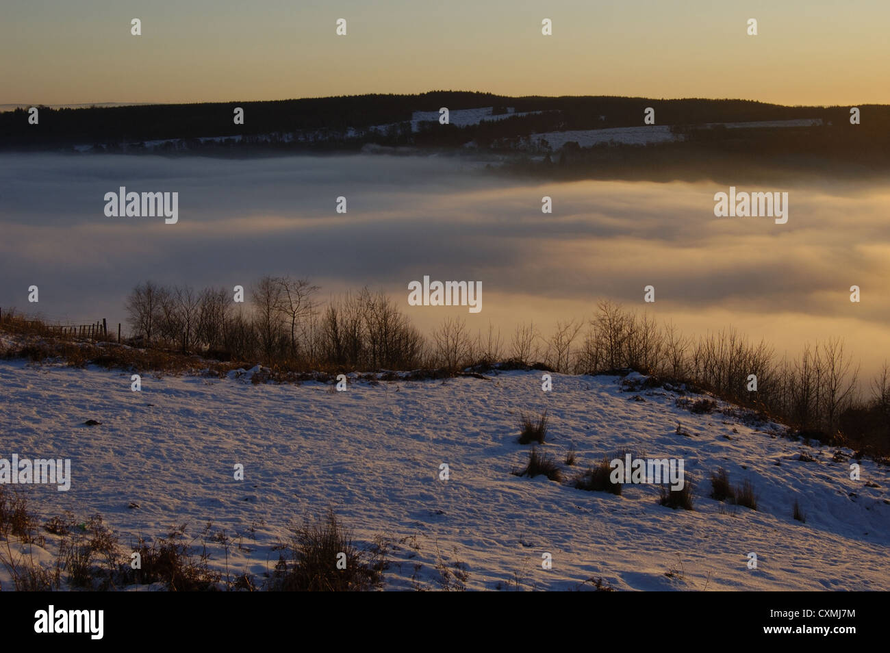 Mist in the valley at sunset below Campsie Glen near Glasgow, Scotland ...