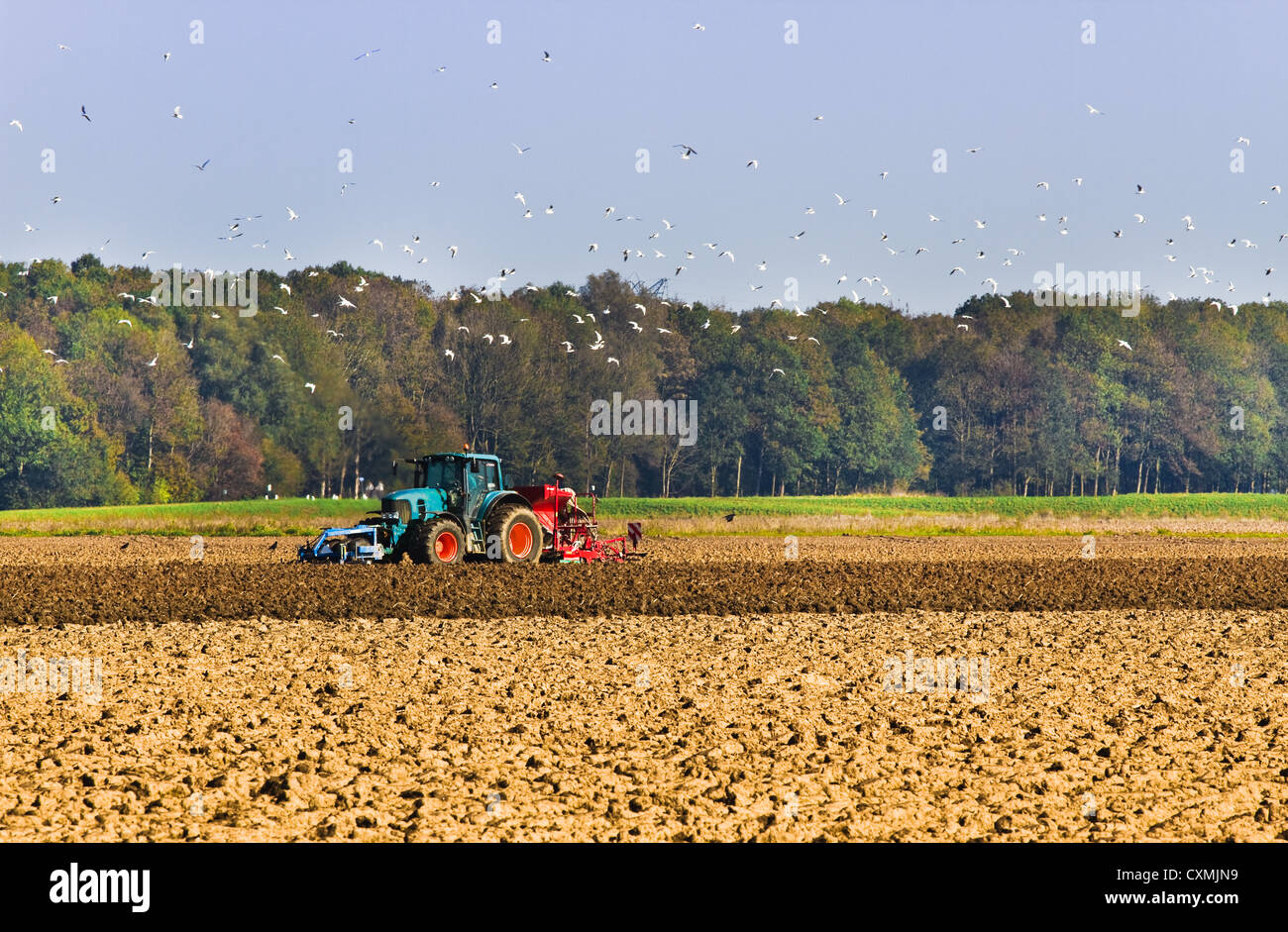 Farming plough hi-res stock photography and images - Alamy