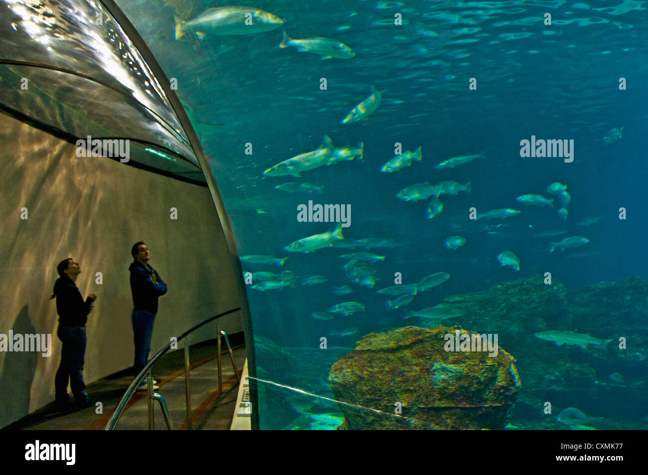 Barcelona Aquarium, Mediterranean-themed marine center with underwater ...