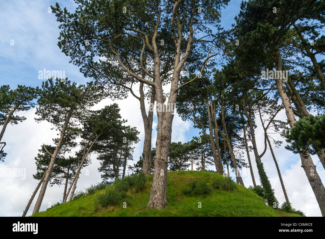 View of Shandon Park mound, Belfast, Ireland Stock Photo - Alamy