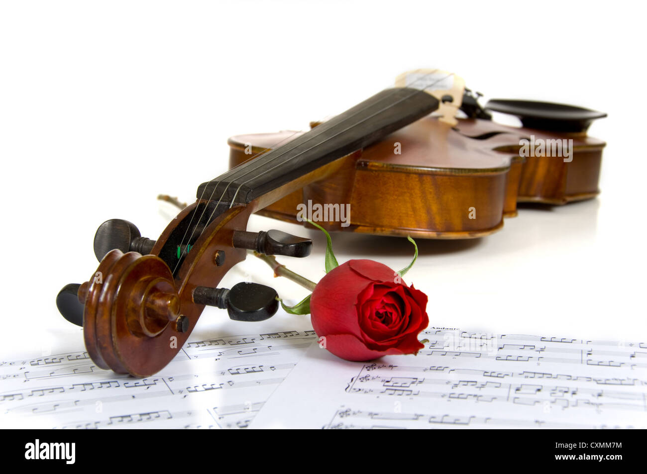 Violin red rose hi-res stock photography and images - Alamy
