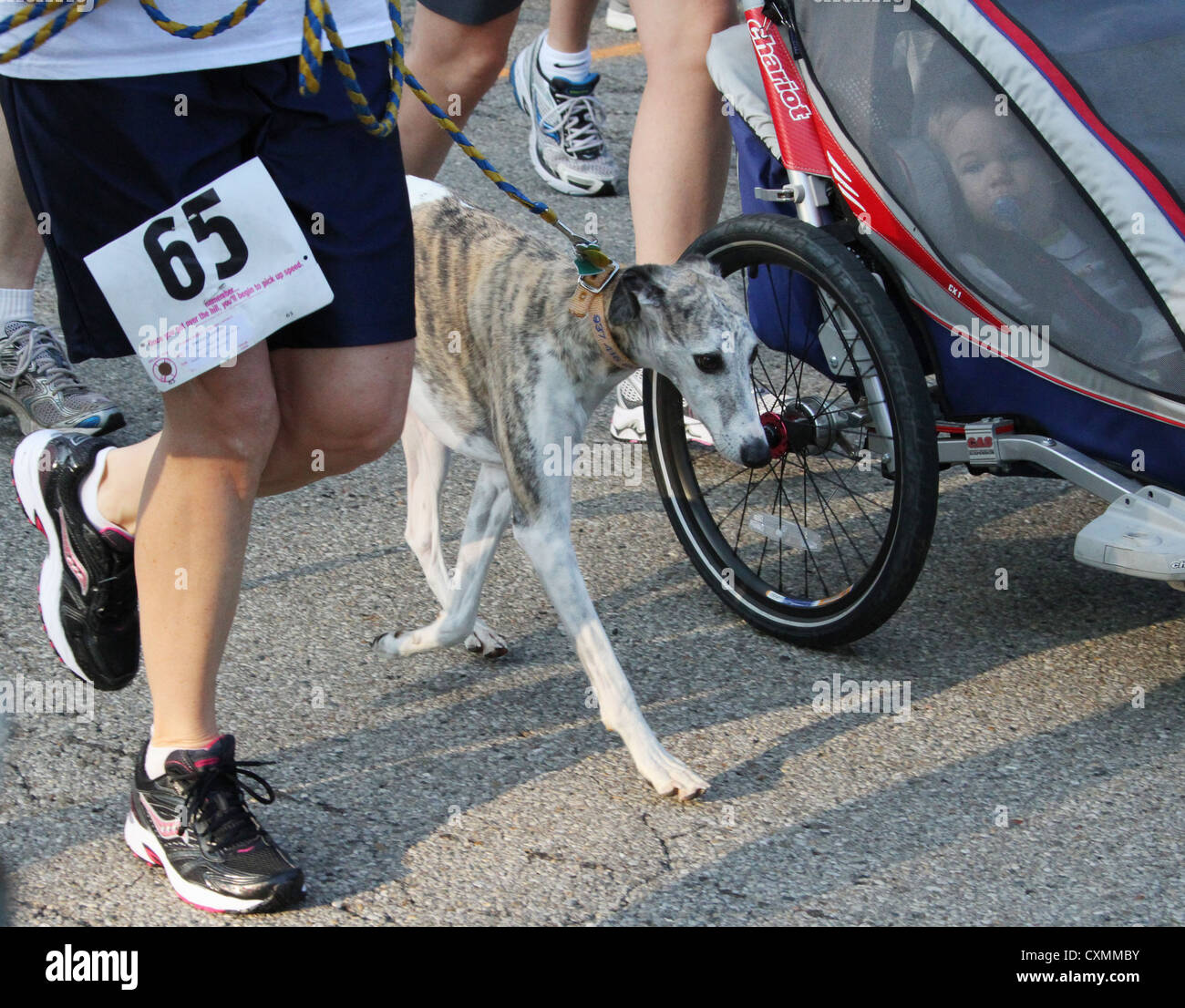 Baby runner hi-res stock photography and images - Alamy
