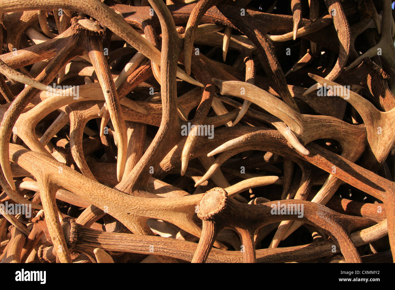 Antler arch jackson wyoming hi-res stock photography and images - Alamy