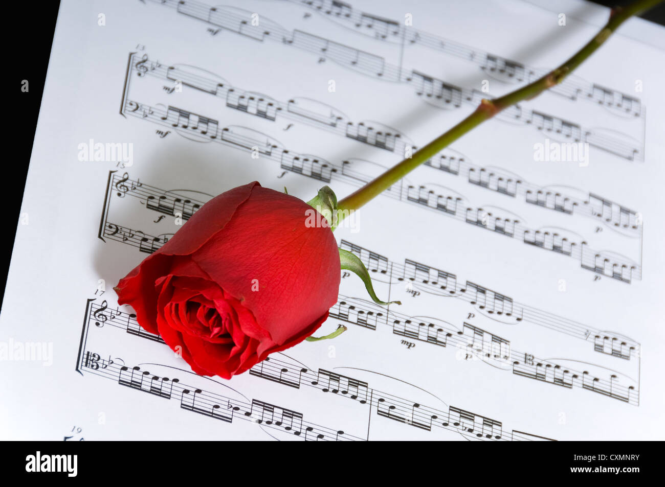 Score sheet gift hi-res stock photography and images - Alamy