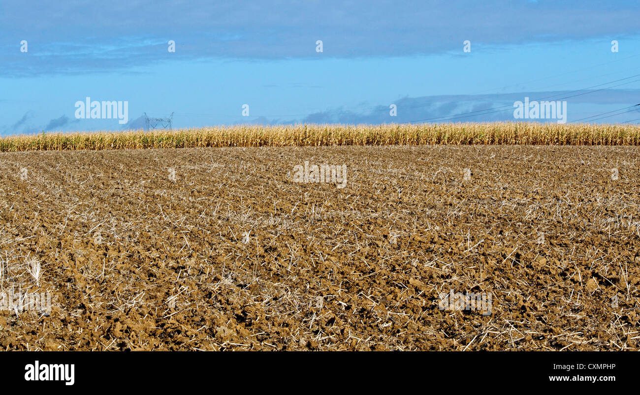 Autumn fields and sky, France Stock Photo - Alamy