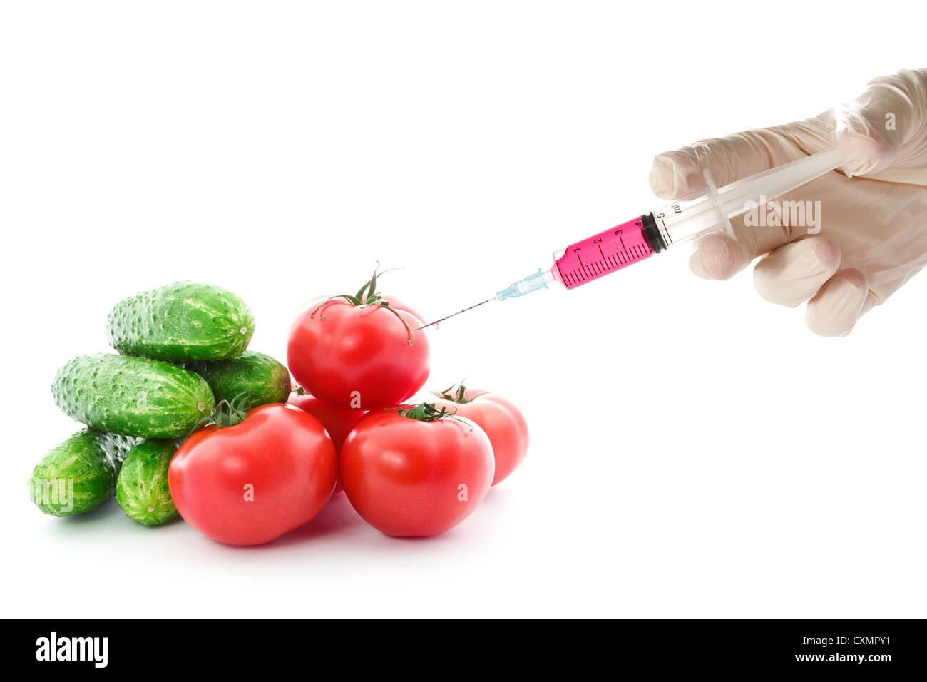 Scientist injecting GMO into the tomato. Isolated on white background ...