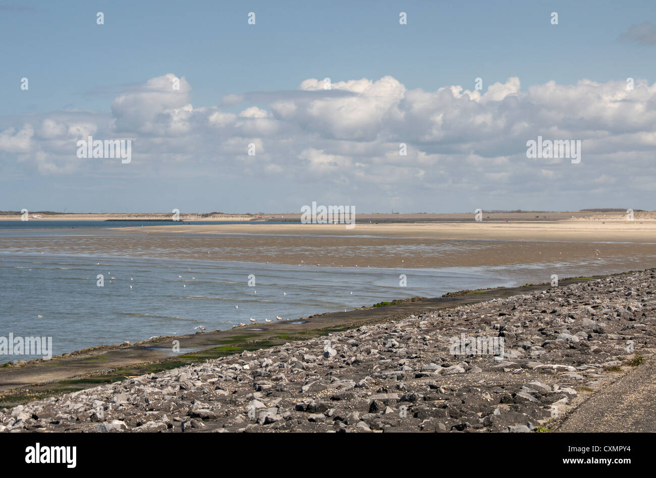 landscape of the dutch coast with sand beach and sea Stock Photo - Alamy
