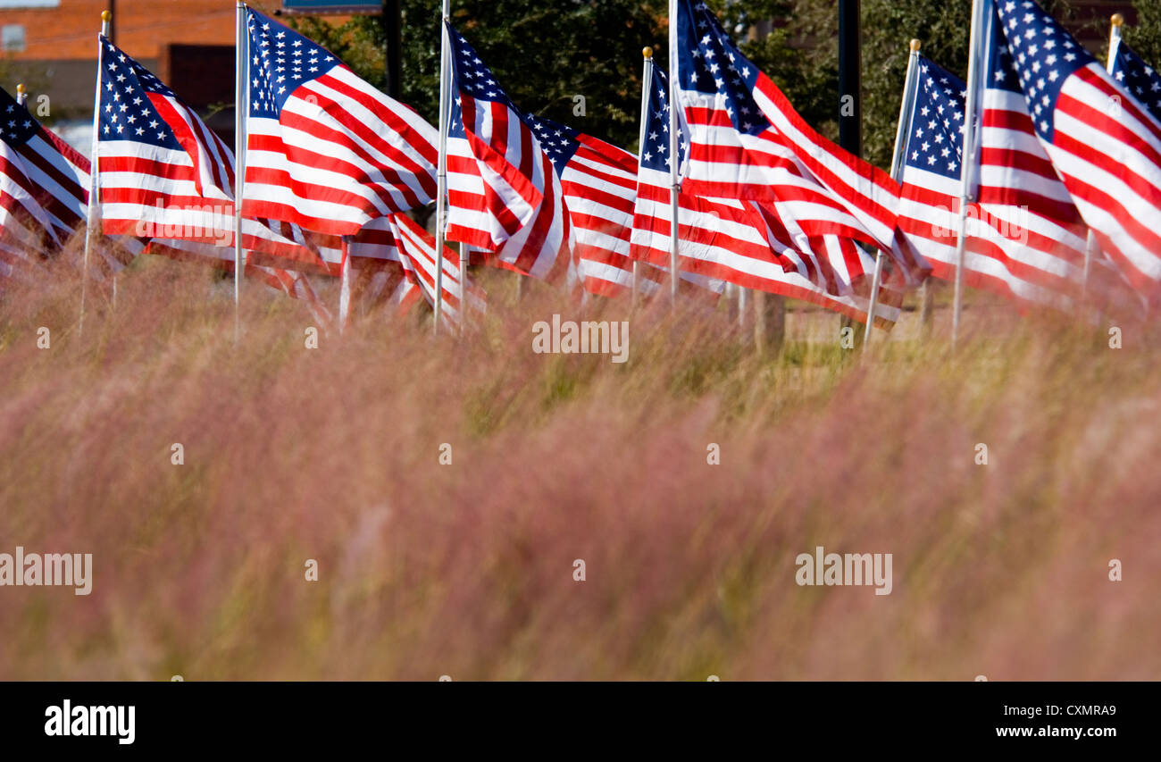 United States Flags displayed as tribute of military veterans in the ...