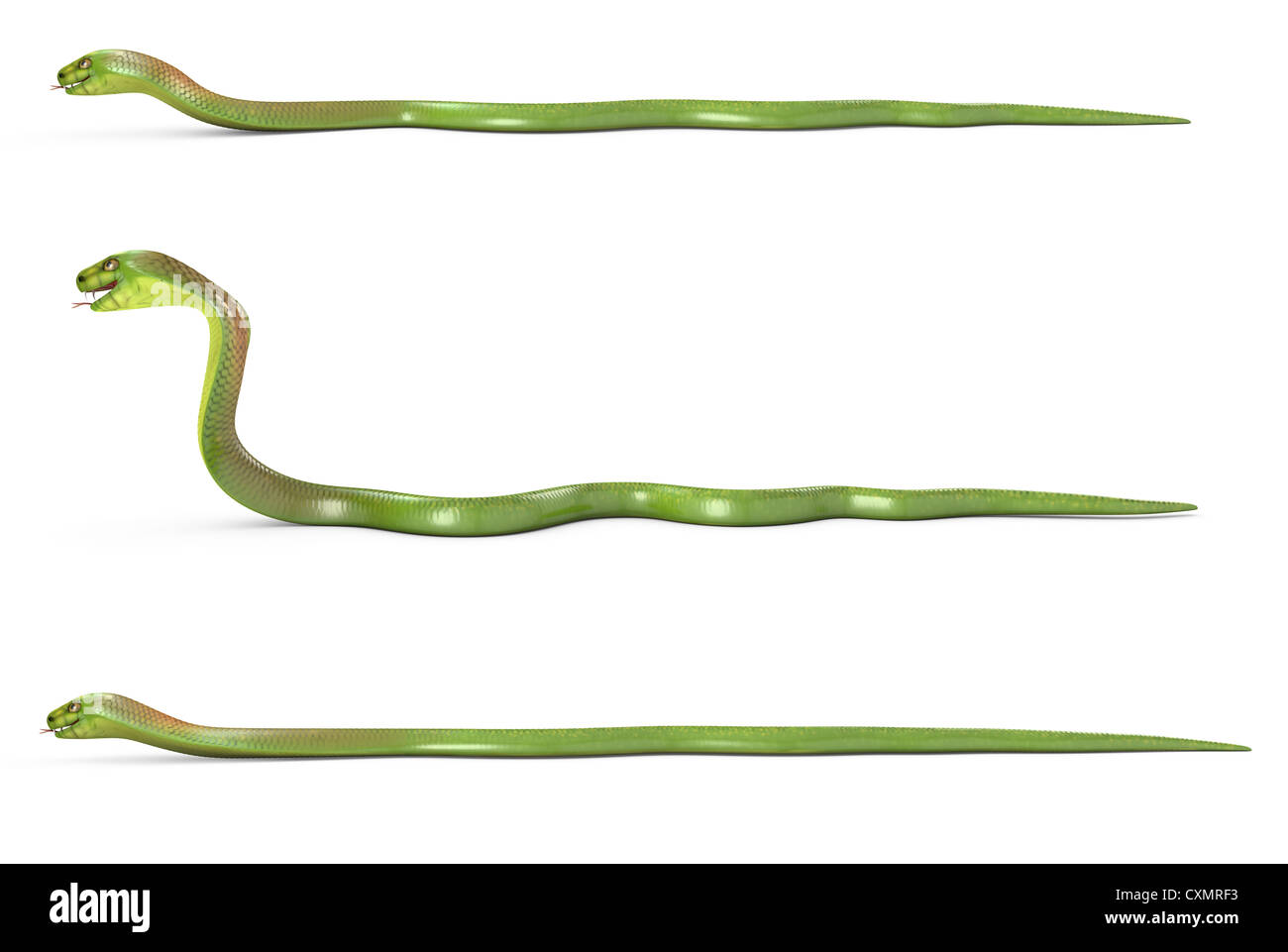 Set of crawling green cobras, isolated on white background Stock Photo ...