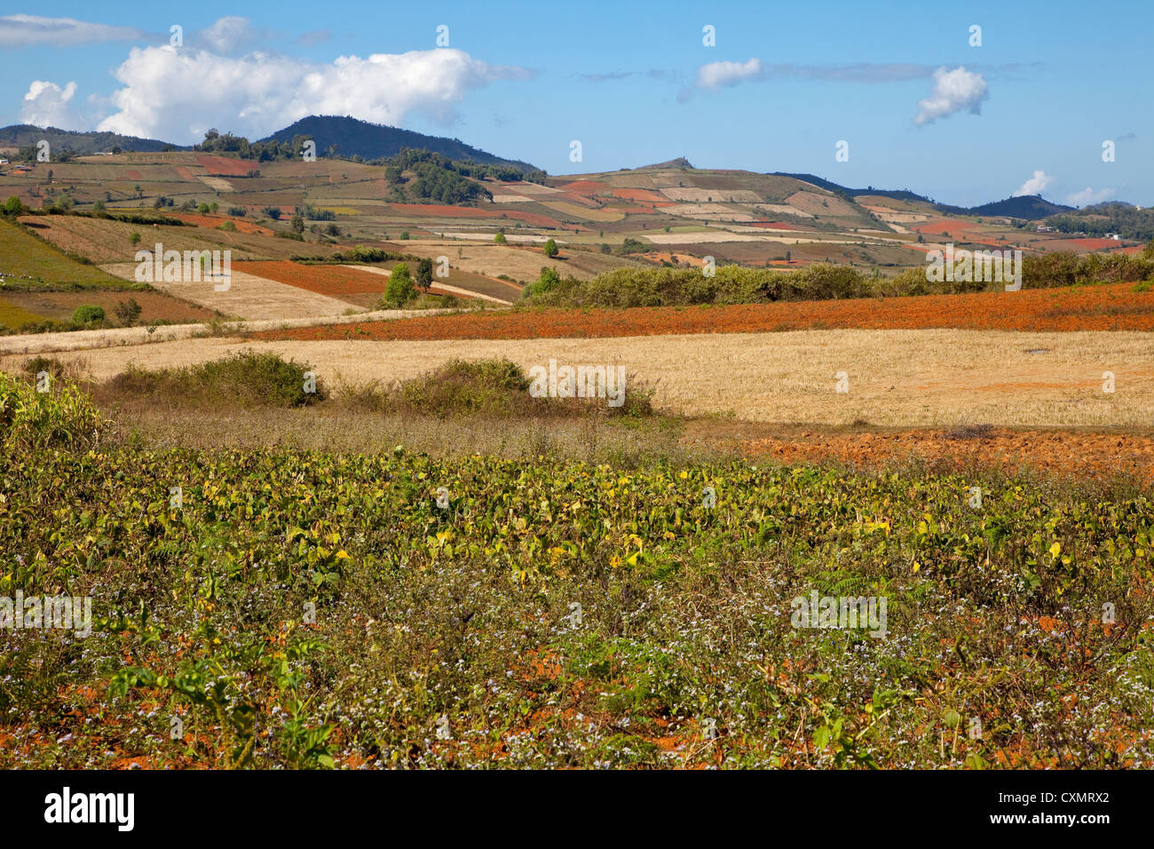 Myanmar shan hi-res stock photography and images - Alamy