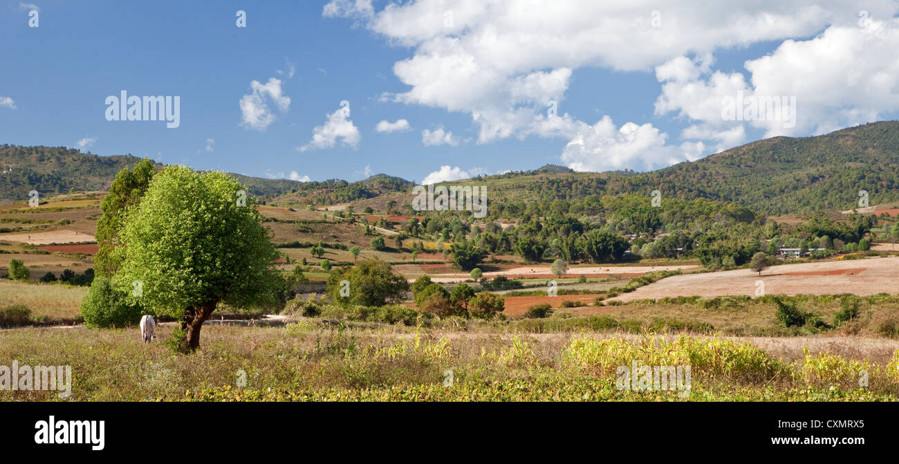 Myanmar, Burma. Shan State Scenic View. Cultivated Fields on Hillsides ...