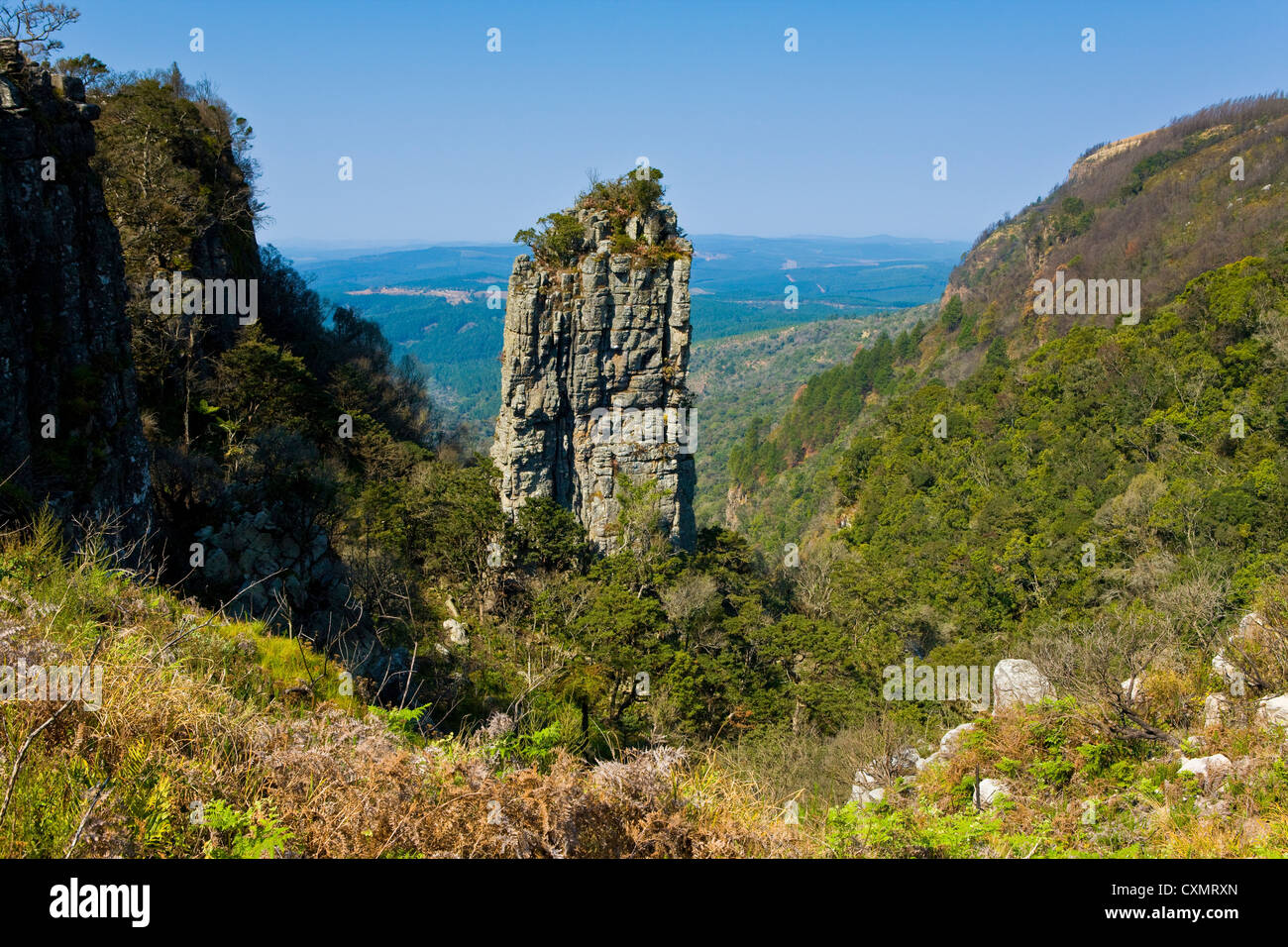 Transvaal south africa hi-res stock photography and images - Alamy