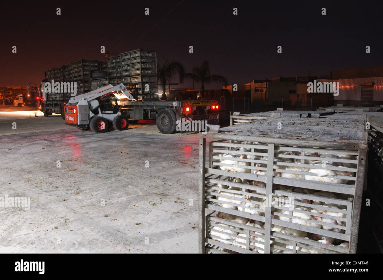 Poultry farming cages hi-res stock photography and images - Alamy