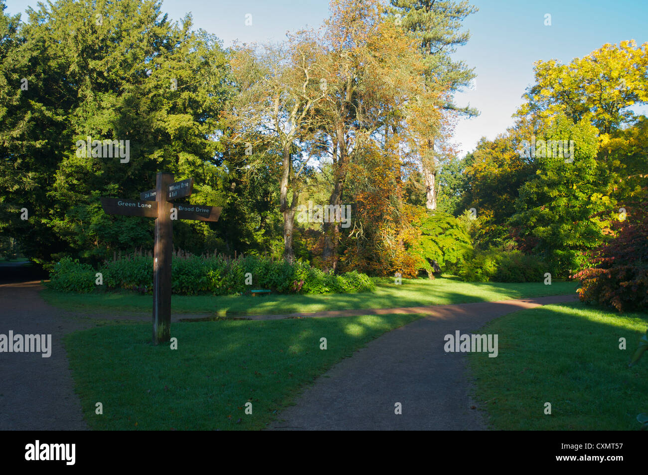 Wood woodland arboretum hi-res stock photography and images - Alamy