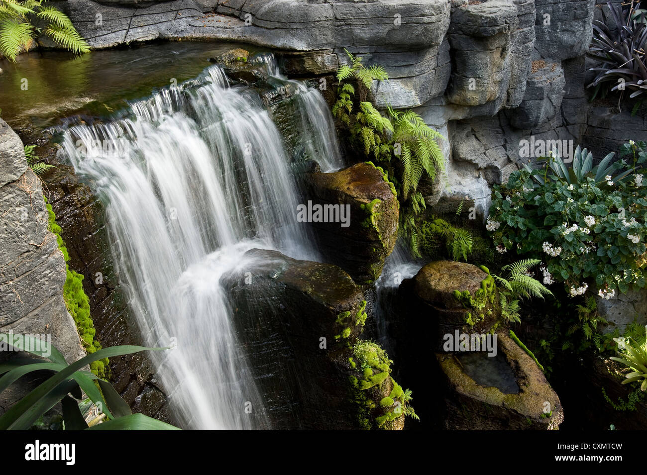Peaceful jungle scene hi-res stock photography and images - Alamy