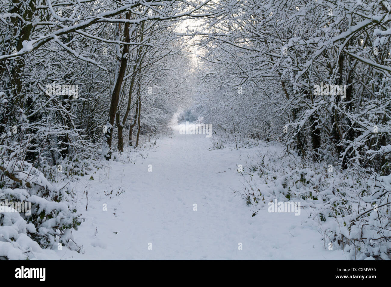 A cold snowy day in the UK Stock Photo - Alamy