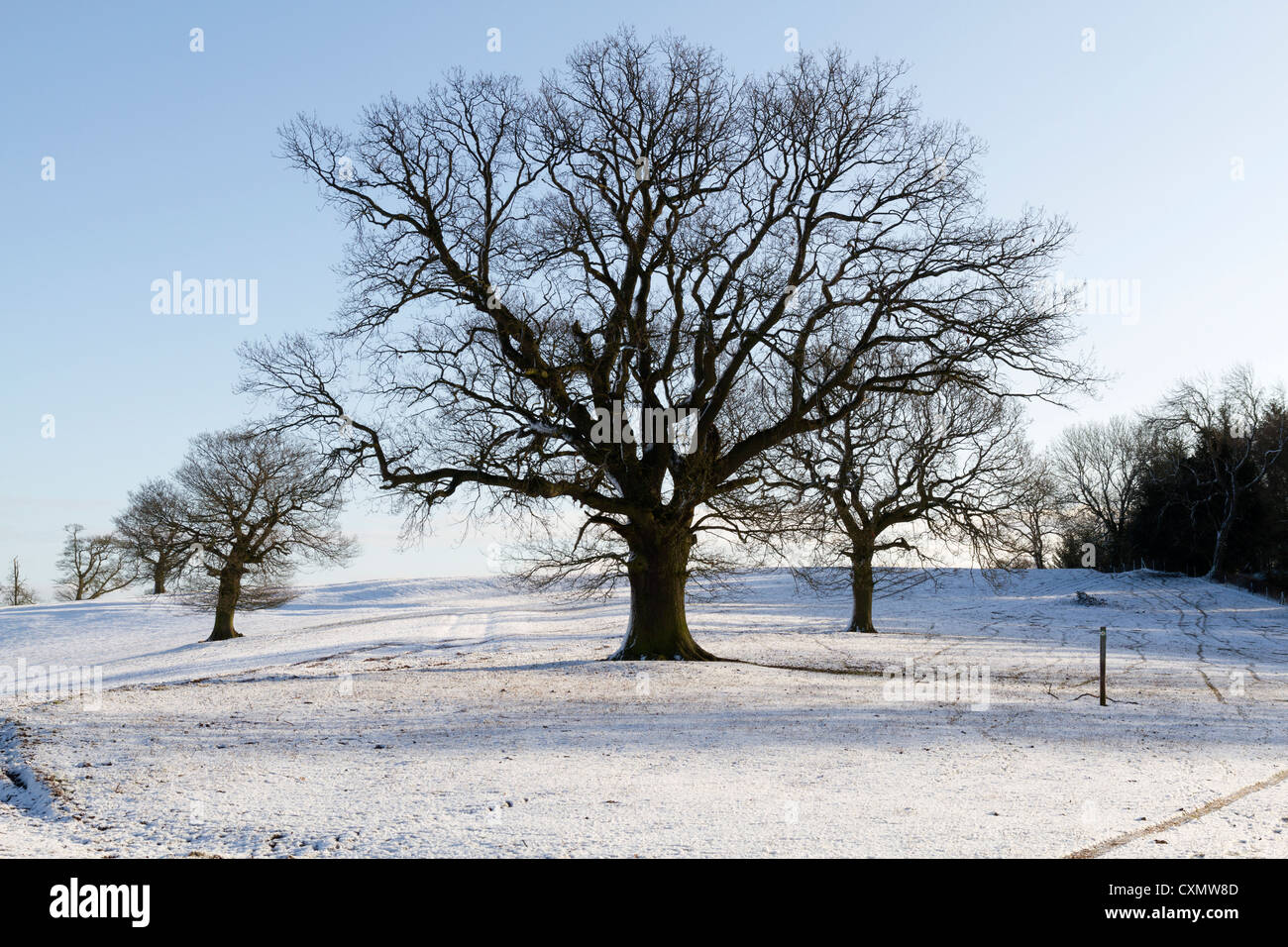 A cold snowy day in the UK Stock Photo - Alamy