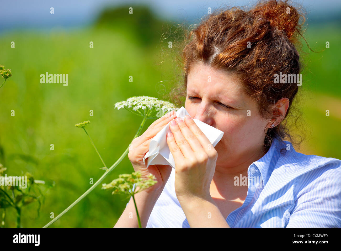 Pollen allergy hi-res stock photography and images - Alamy