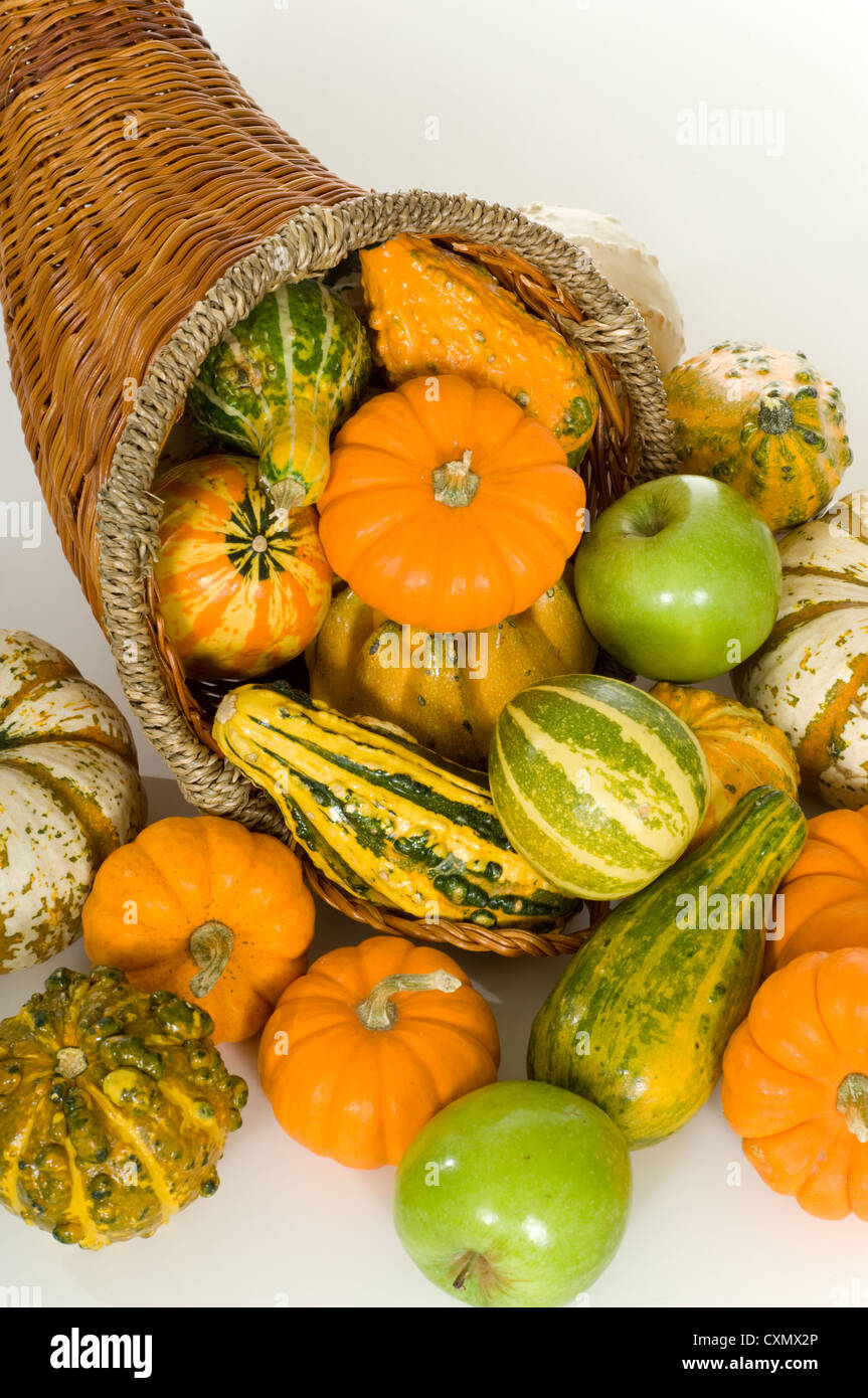 Cornucopia with fall harvest items including pumpkins, gourds, apples ...