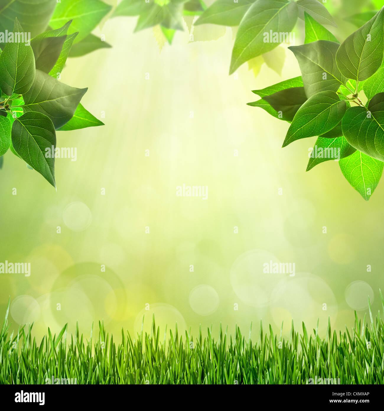 Abstract natural backgrounds for your design Stock Photo - Alamy