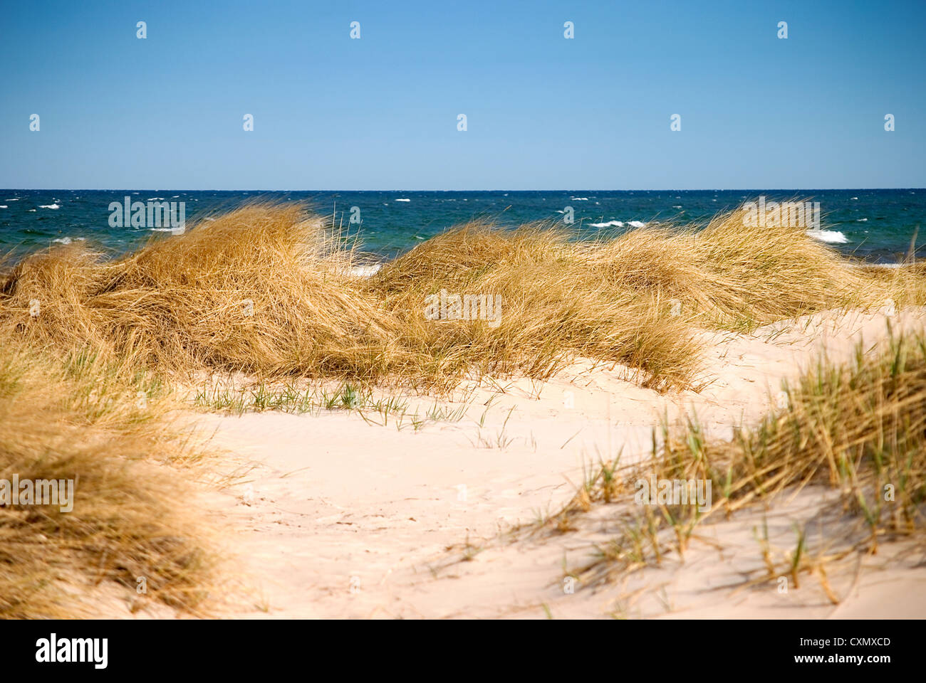 a windy day at the beach, sand dunes against the waves Stock Photo - Alamy