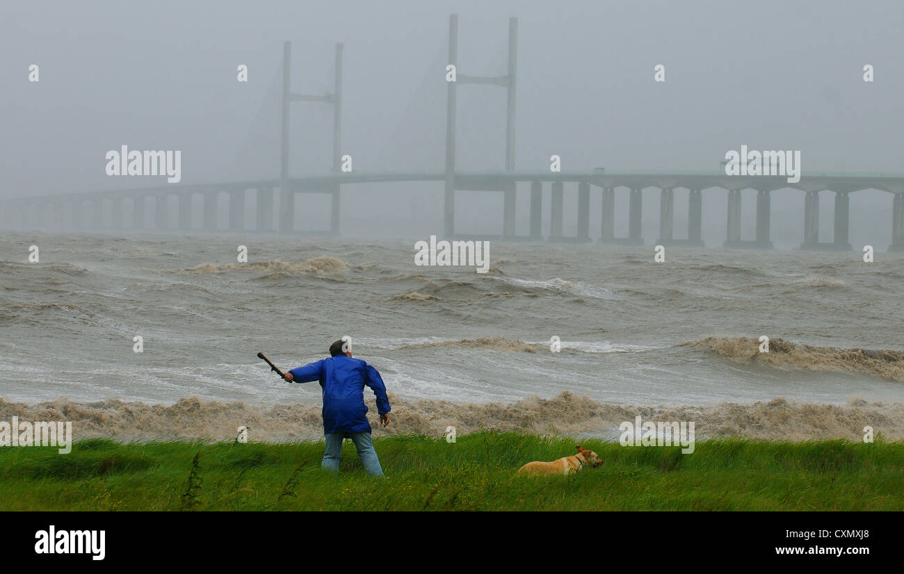 A man walks a dog in strong wind and rain in front of the second Severn ...