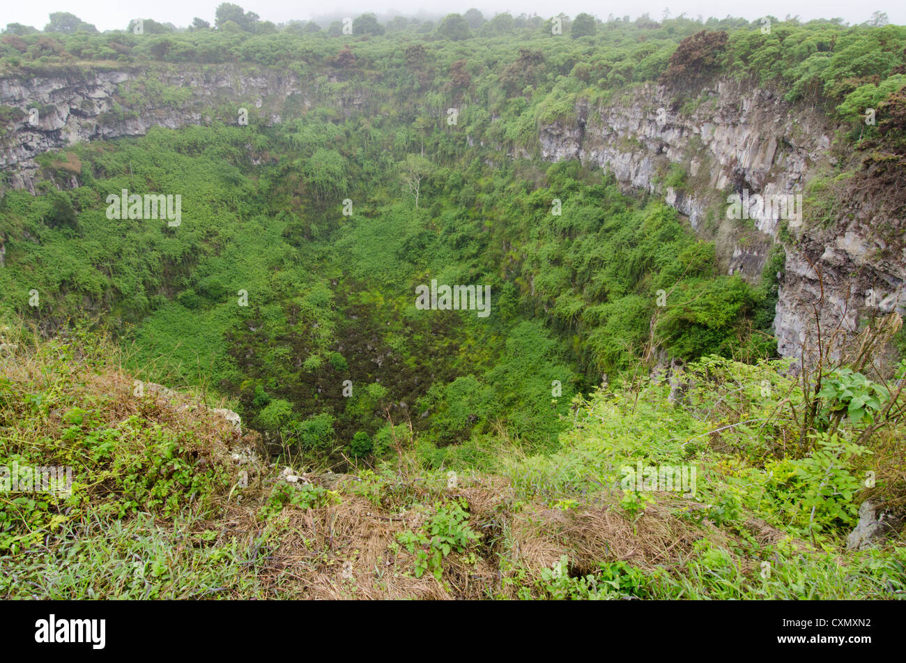 Ecuador, Galapagos. Santa Cruz highlands, Los Gemelos (Spanish for The ...