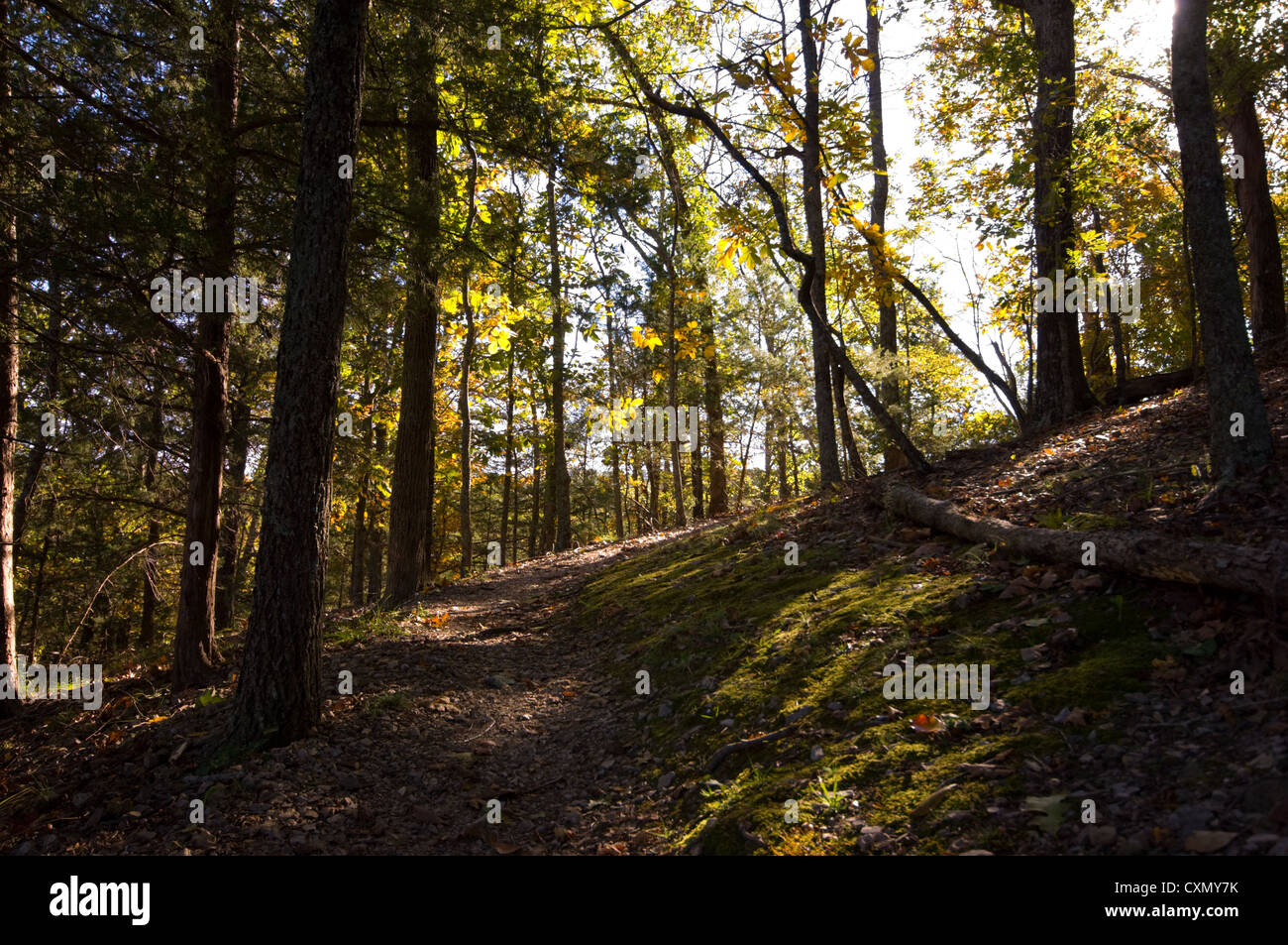 Wide angle view of hiking trails in the fall or autumn of the year ...