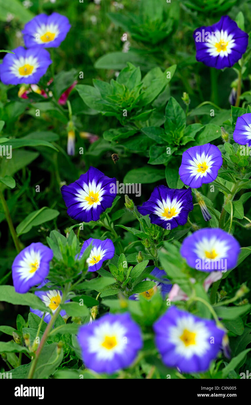 Color colourful bright hi-res stock photography and images - Alamy