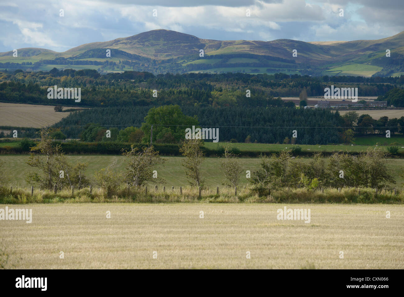 Scottish borders scenery hi-res stock photography and images - Alamy