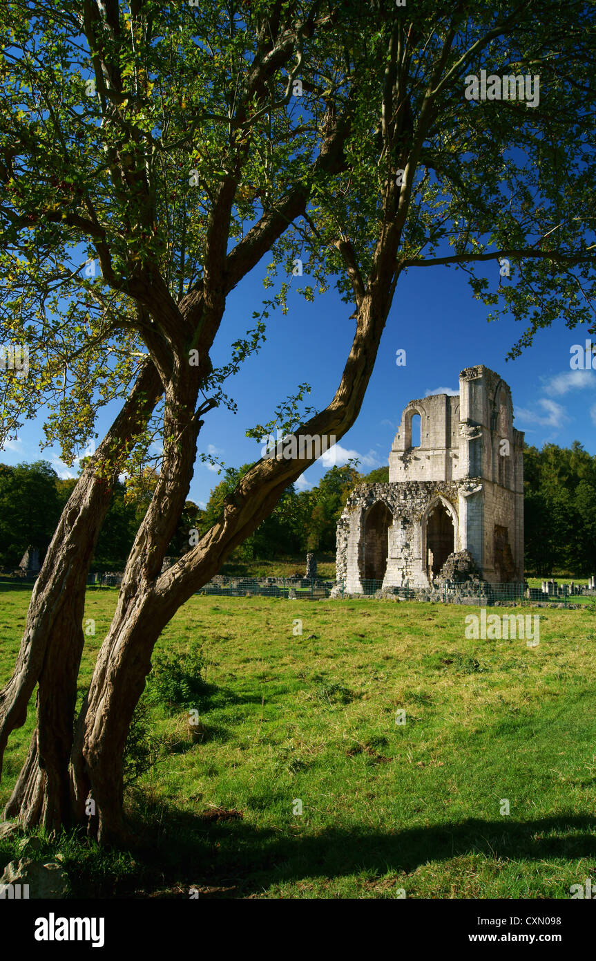 Sandbeck park and roche abbey hi-res stock photography and images - Alamy