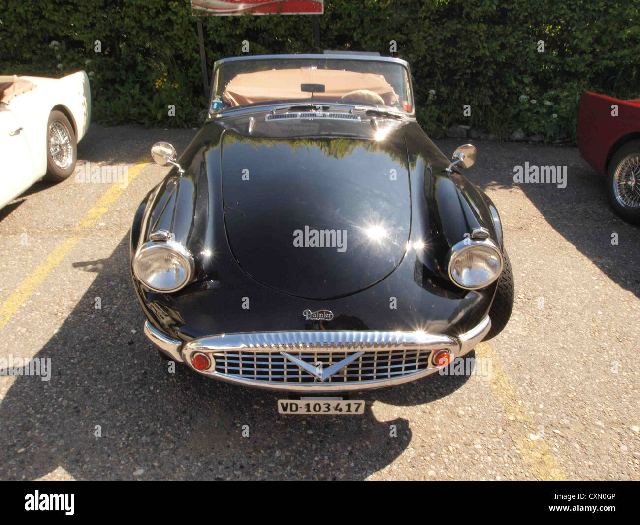 Daimler SP250 classic vintage sports car Stock Photo - Alamy