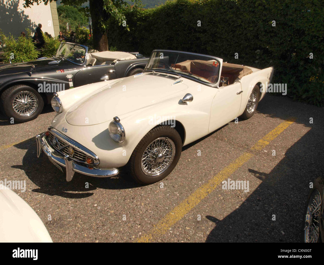 Daimler SP250 classic vintage sports car Stock Photo - Alamy