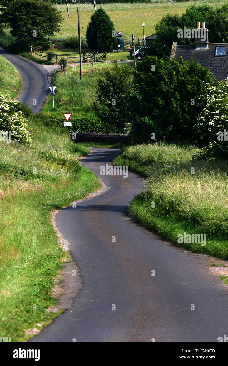 Twisty rural road in Somerset UK Stock Photo - Alamy