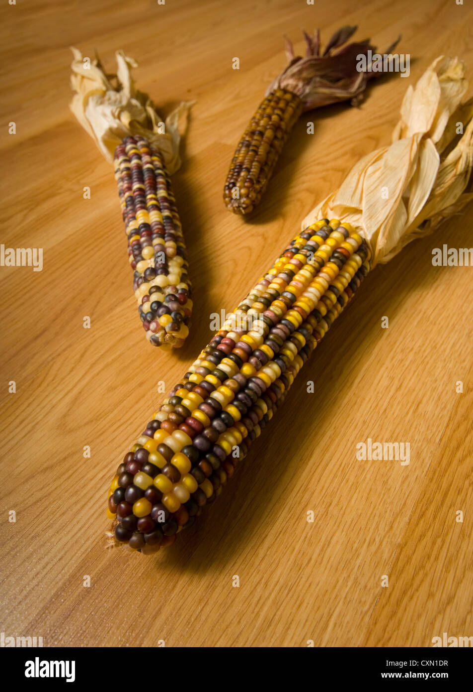 Indian colored corn hi-res stock photography and images - Alamy