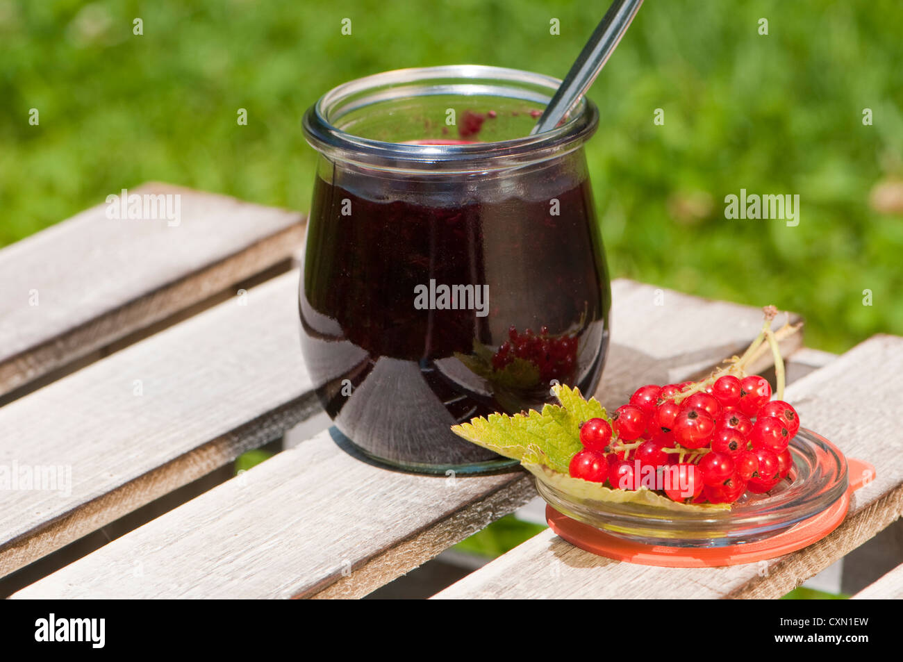 Red currant jelly homemade hi-res stock photography and images - Alamy