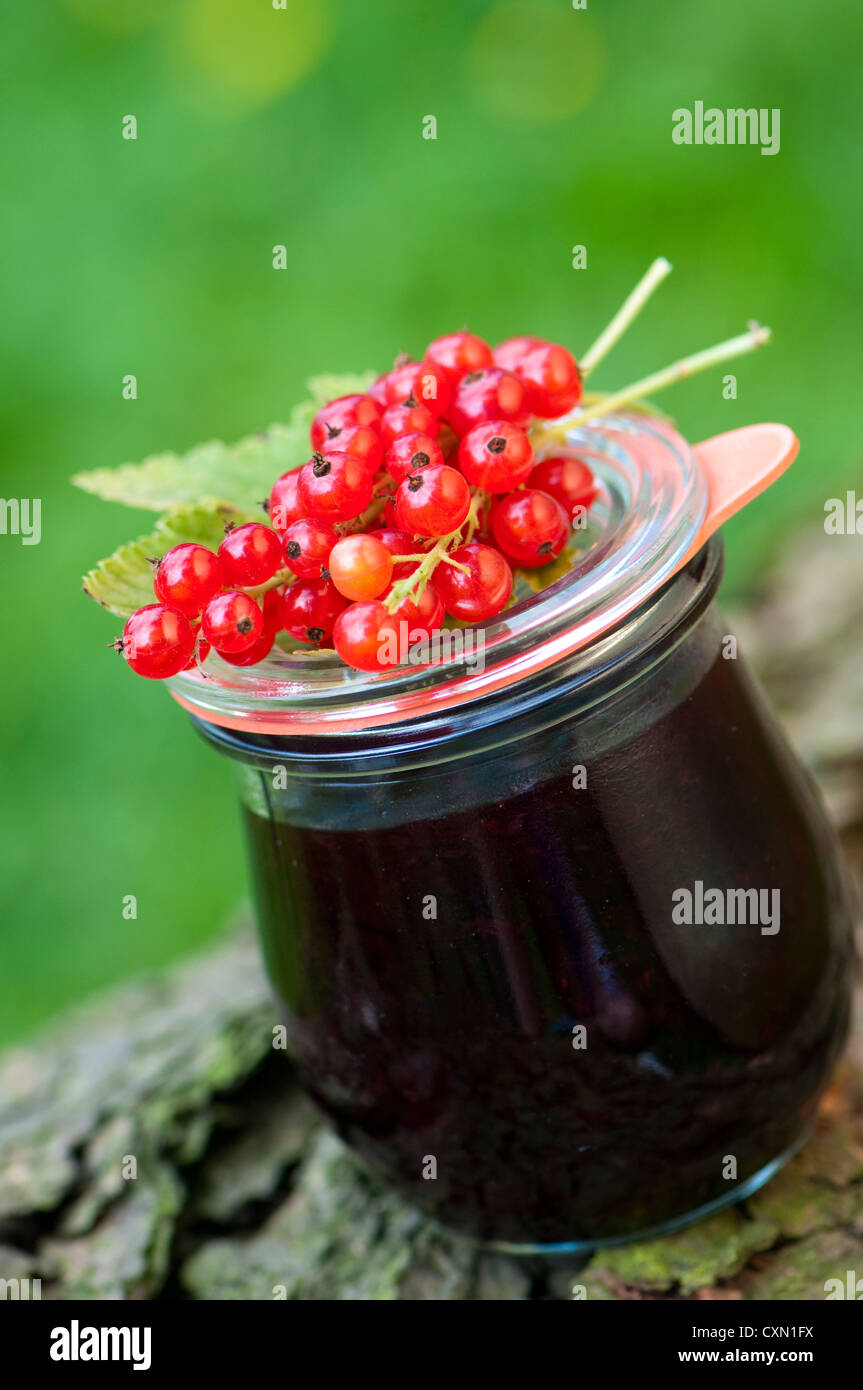 Red currant jelly hi-res stock photography and images - Alamy