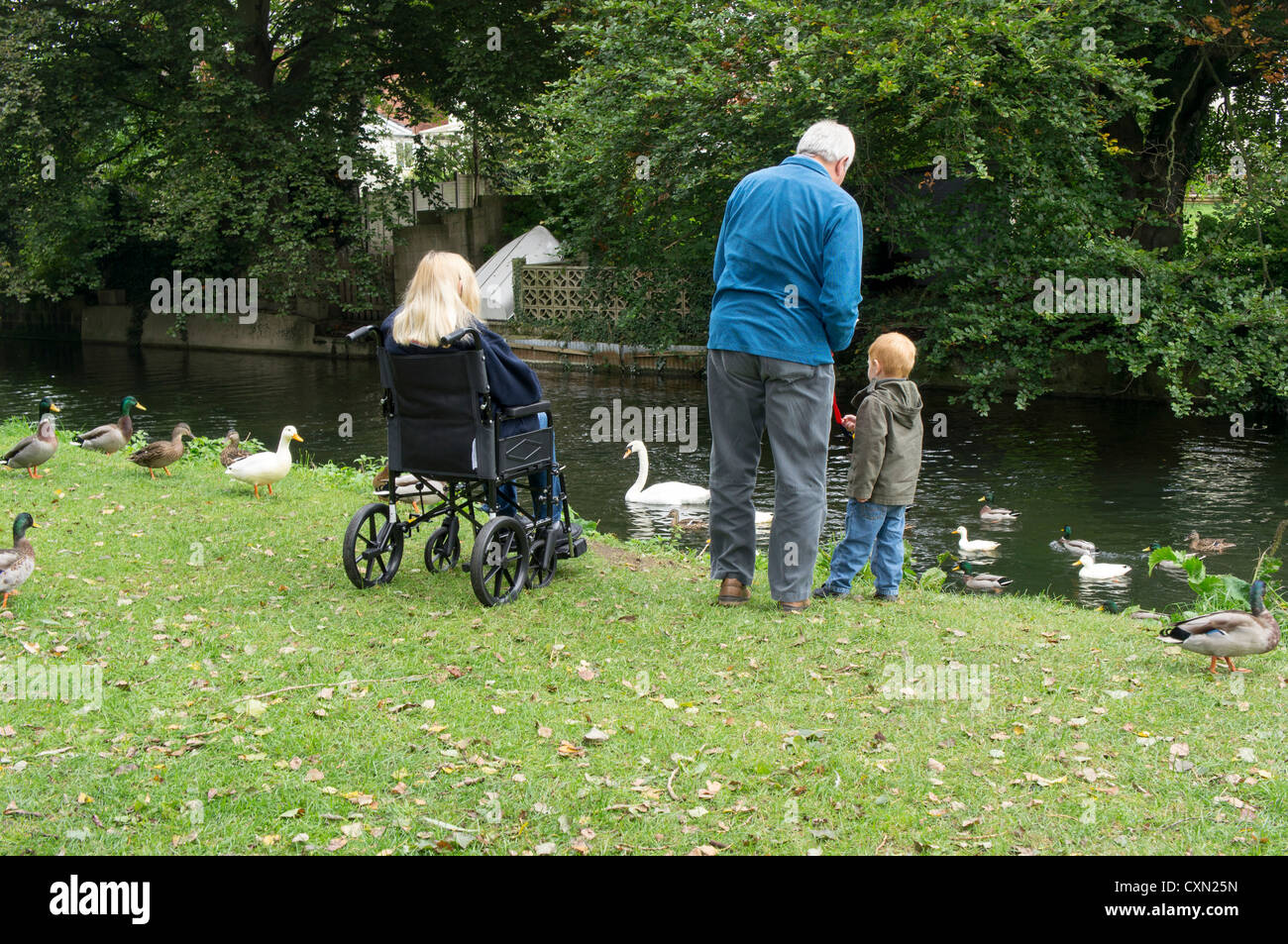 Family feeding ducks beside a river Stock Photo - Alamy