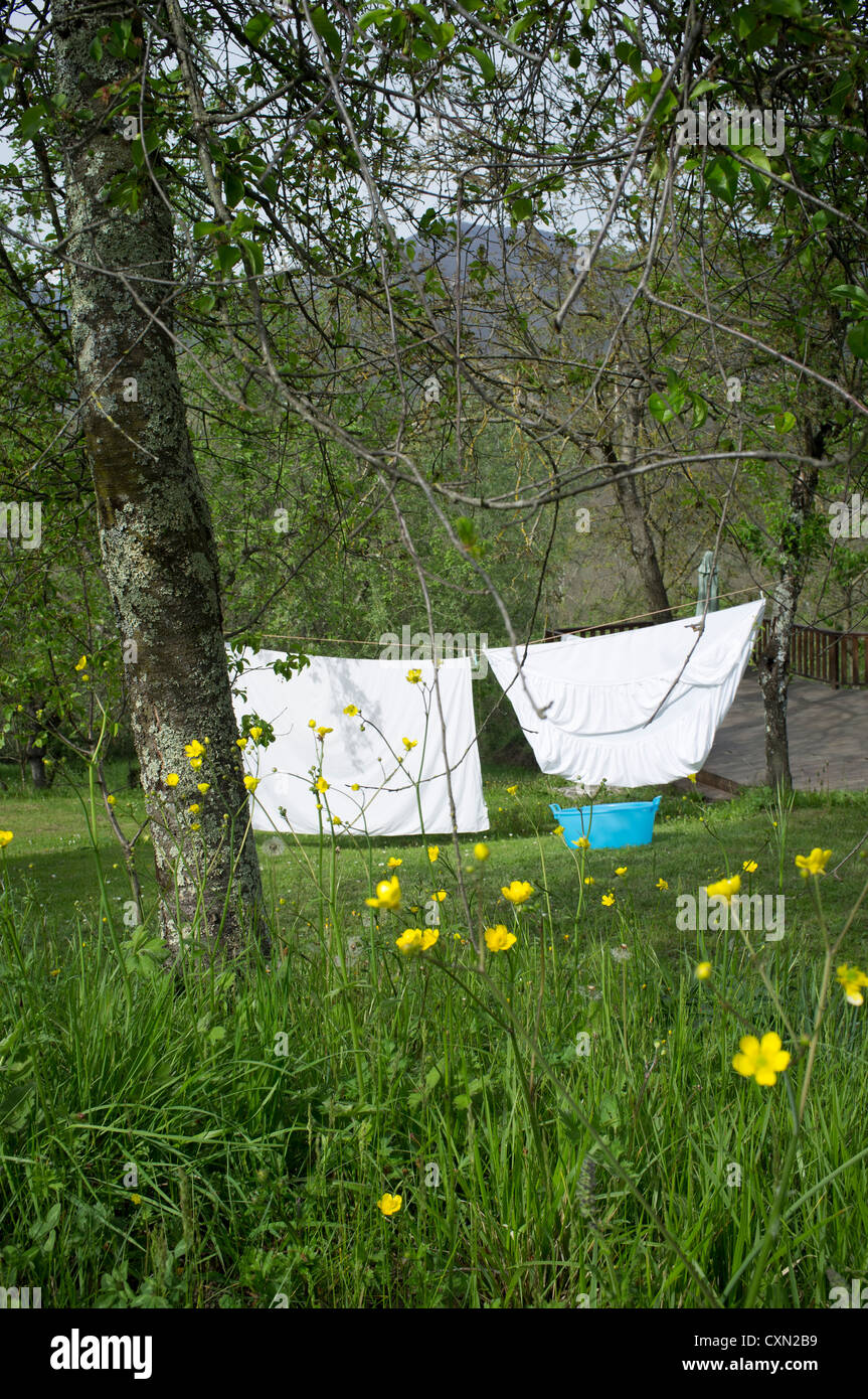 Washing line in garden Stock Photo - Alamy
