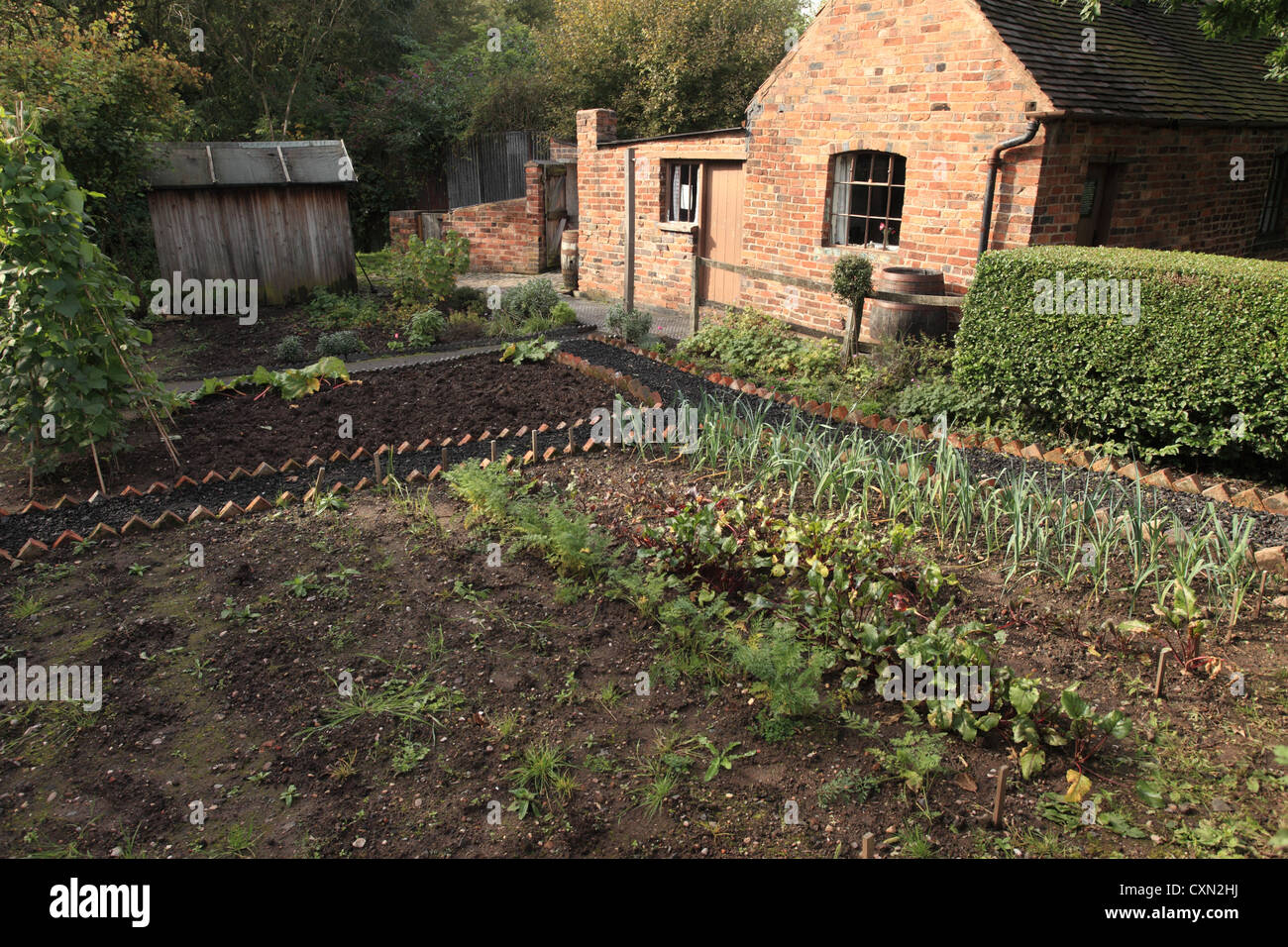Vegetable garden in an early to mid twentieth century house or cottage ...