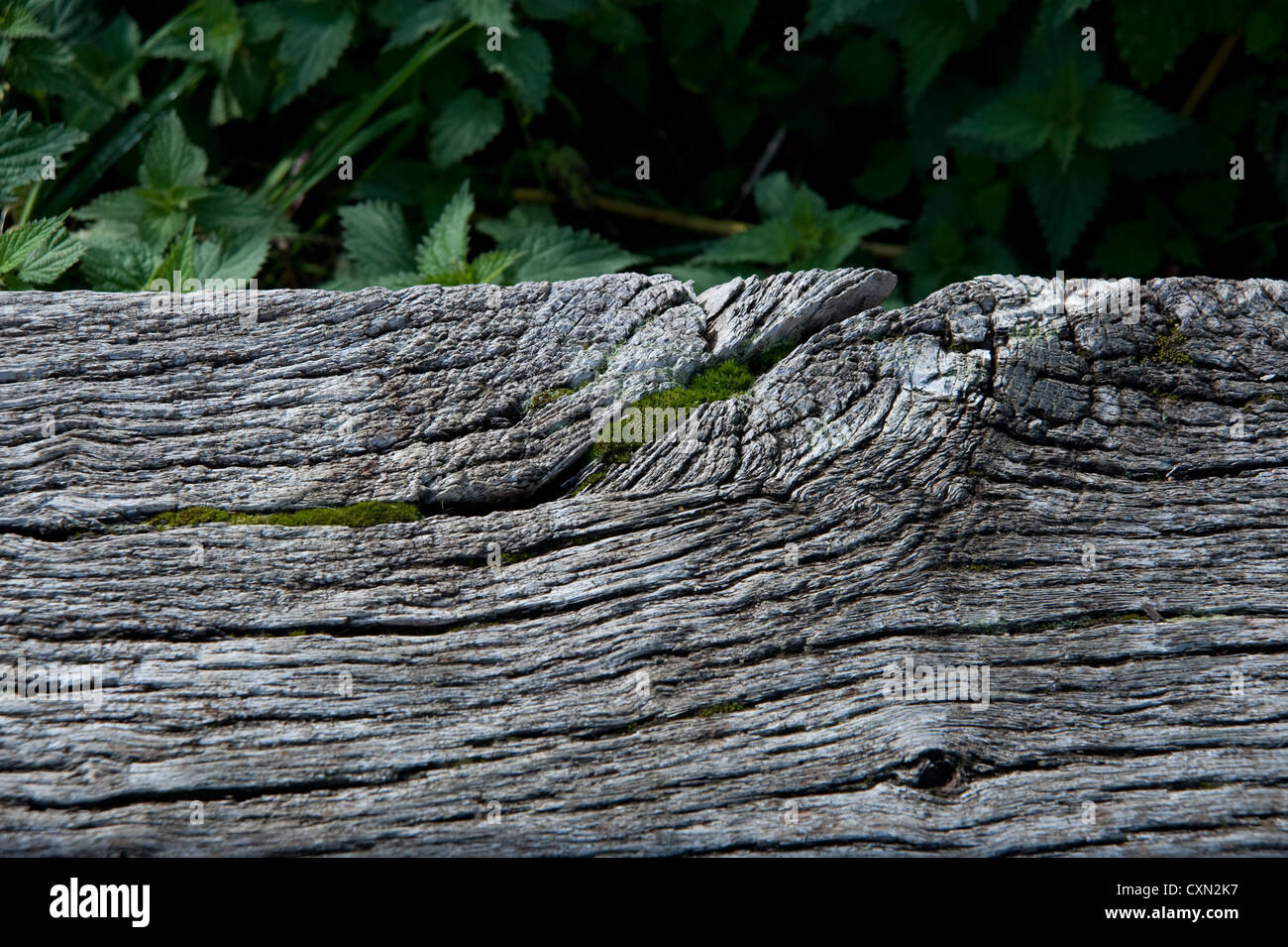 Weathered and cracked bench seat Stock Photo - Alamy