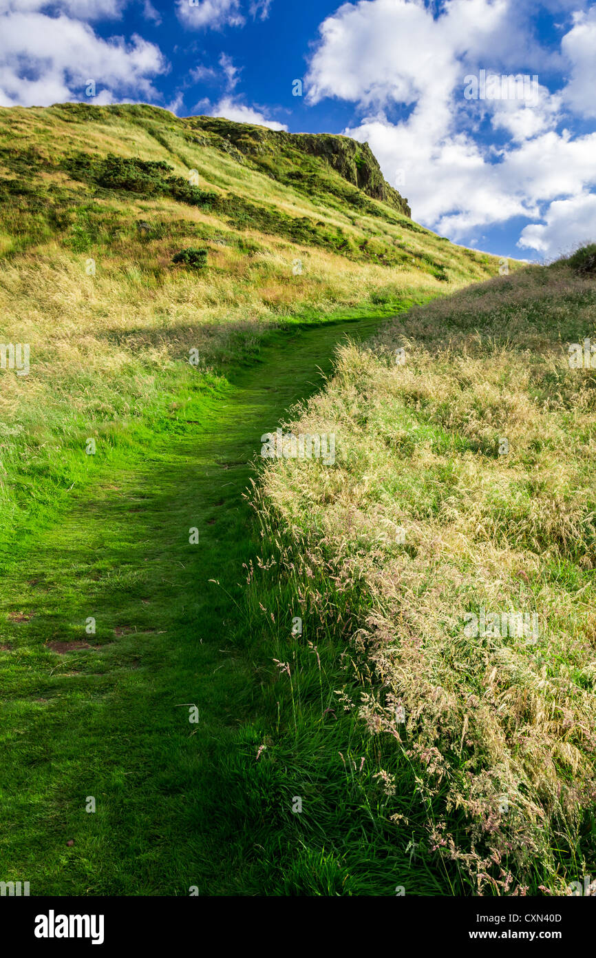 Green footpath to the hill in summer Stock Photo - Alamy
