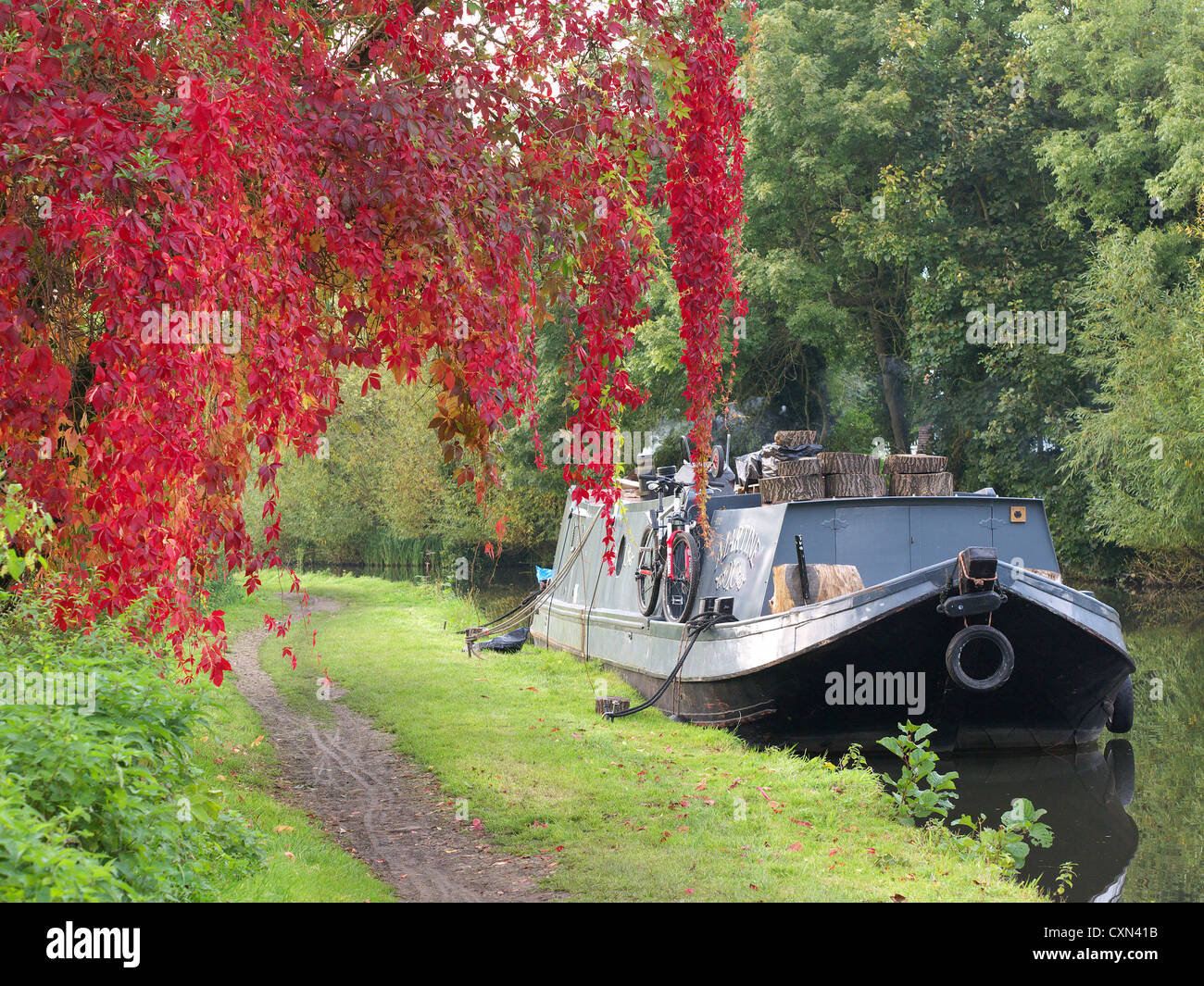 A pretty tow path beneath autumn leaves alongside the Grand Union Canal ...