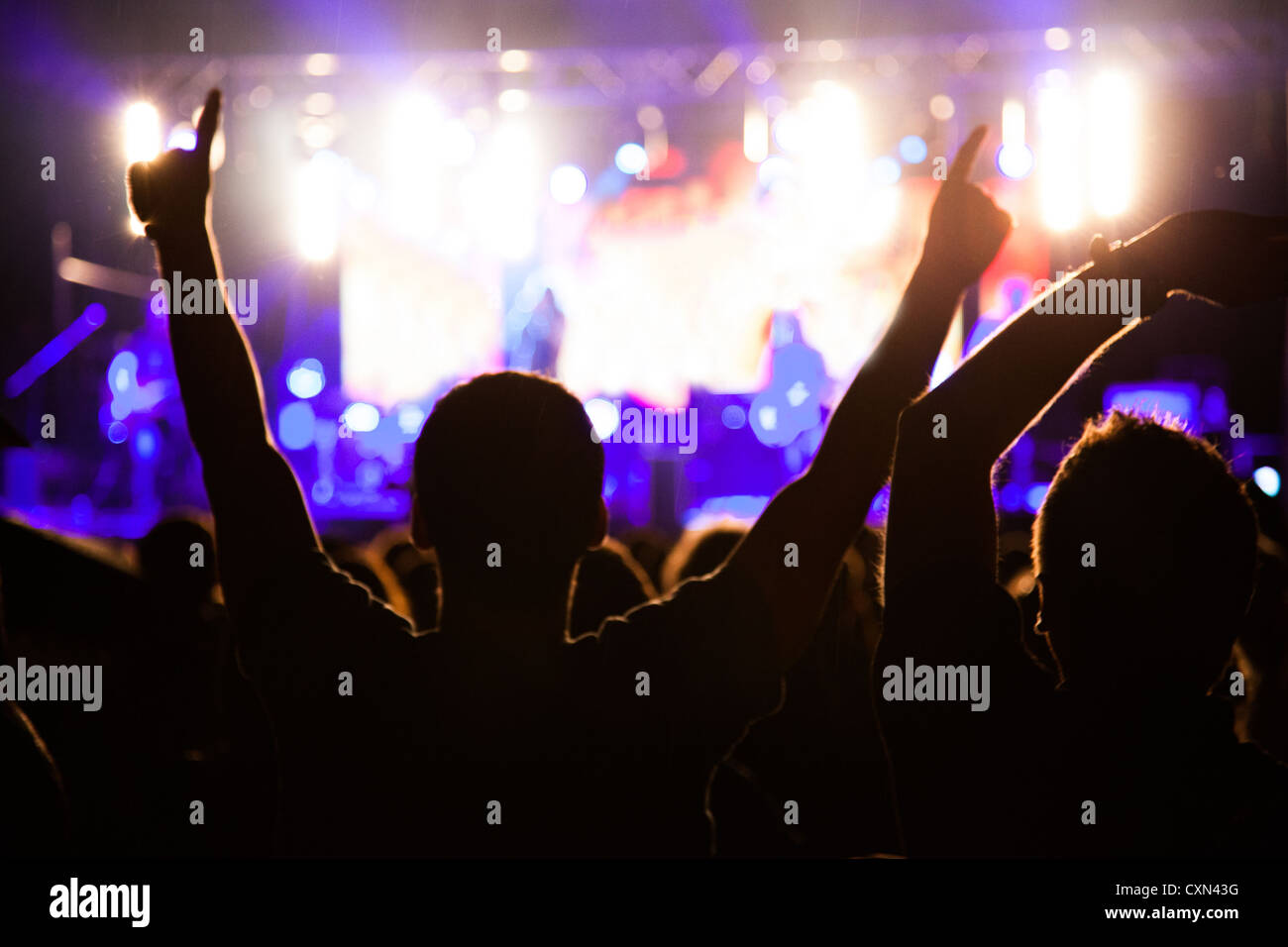 Crowd of fans cheering at night concert Stock Photo - Alamy