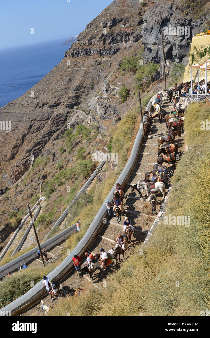 Santorini greece donkey steps hi-res stock photography and images - Alamy