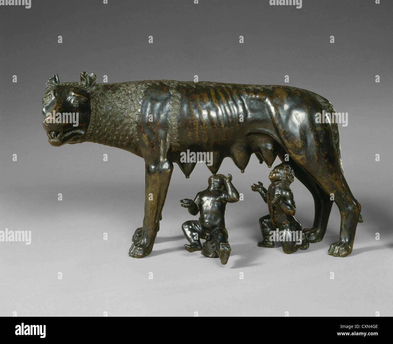 Wolf suckling romulus hi-res stock photography and images - Alamy