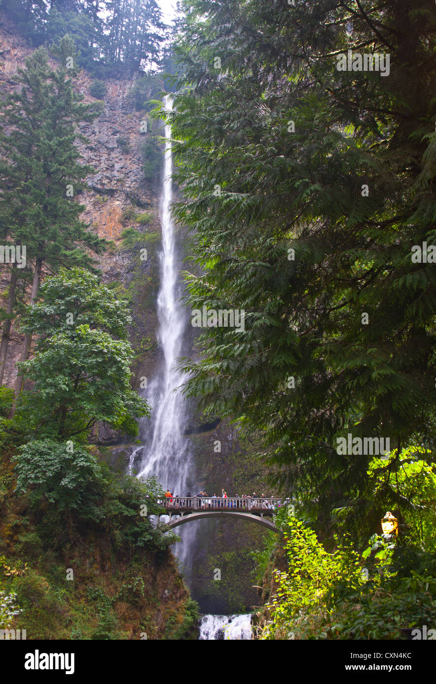 Multnomah Falls, Oregon, USA Stock Photo - Alamy