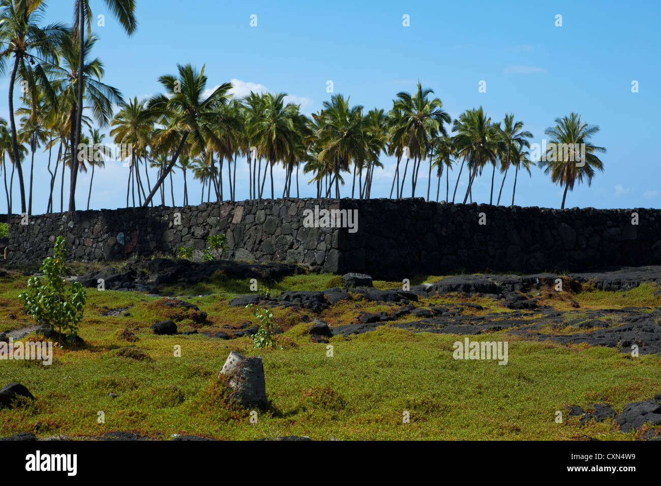 A heiau is a Hawaiian temple to treat the sick, offer first fruits ...