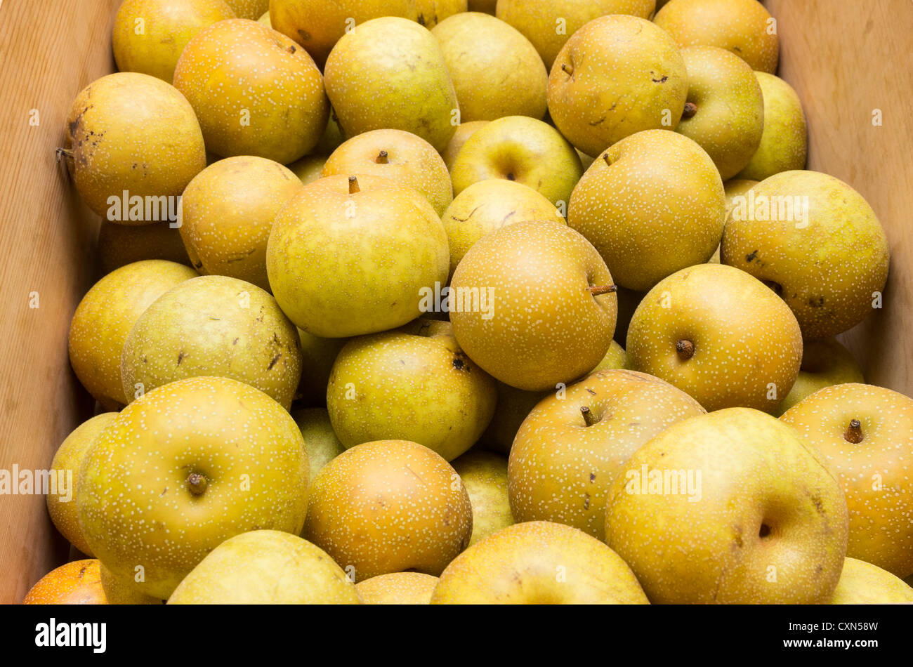 Asian pear kosui hi-res stock photography and images - Alamy